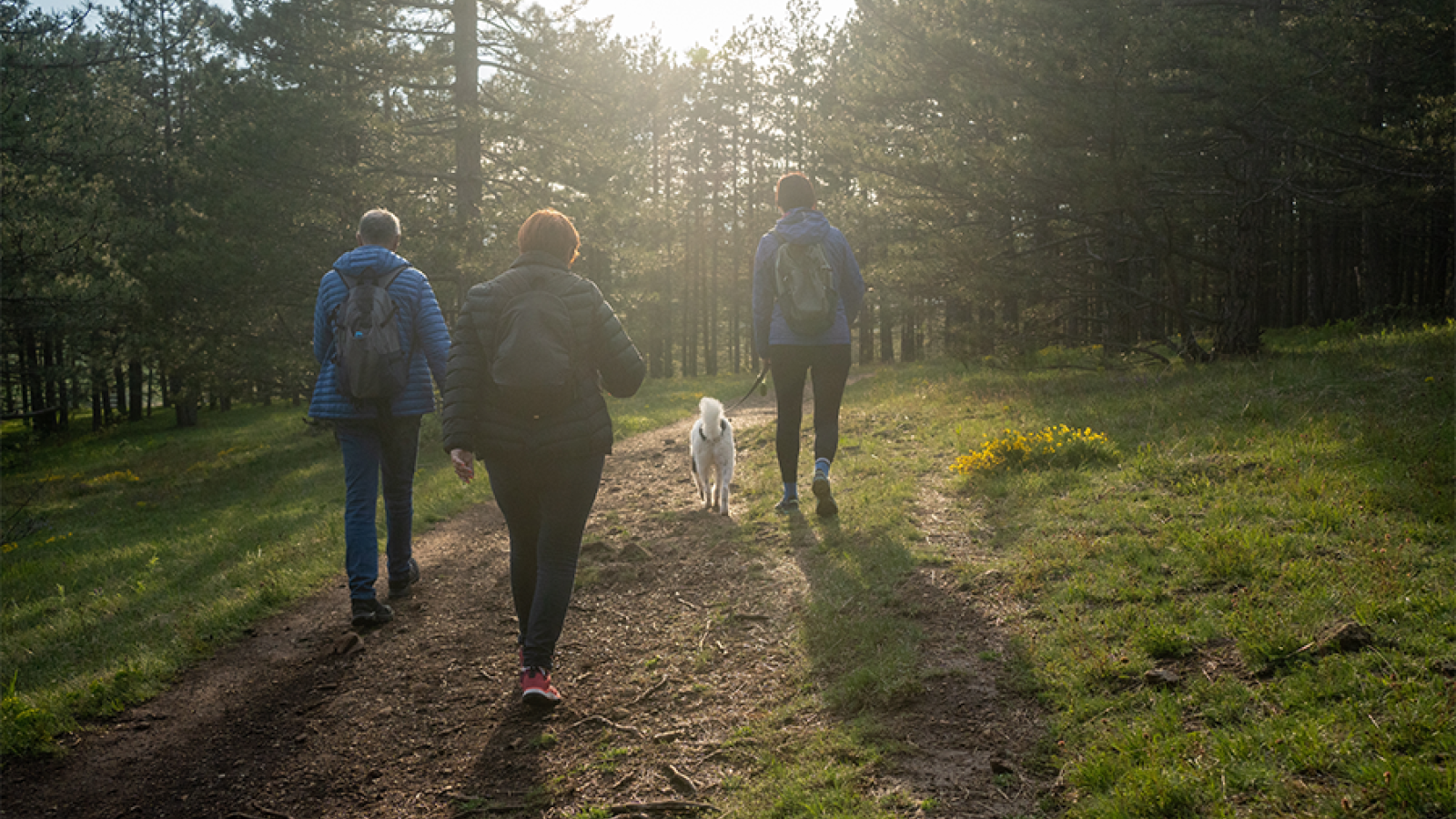 Walk 60 Miles in March | Teenage Cancer Trust